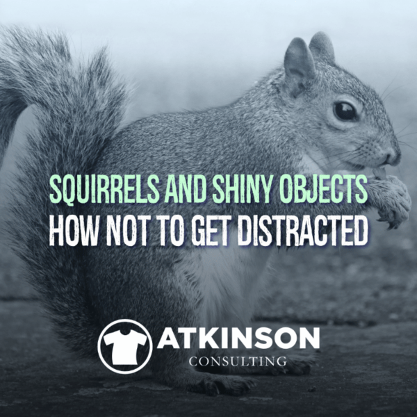 Squirrels & Shiny Objects How Not To Get Distracted | Atkinson Consulting
