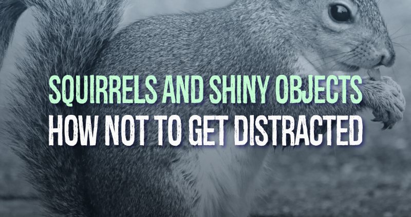 Squirrels & Shiny Objects How Not To Get Distracted | Atkinson Consulting